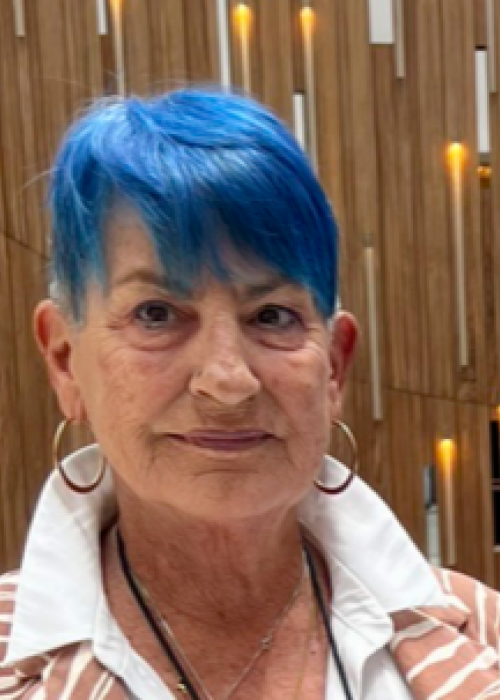 Election 2023 - American Nurses Association - NY